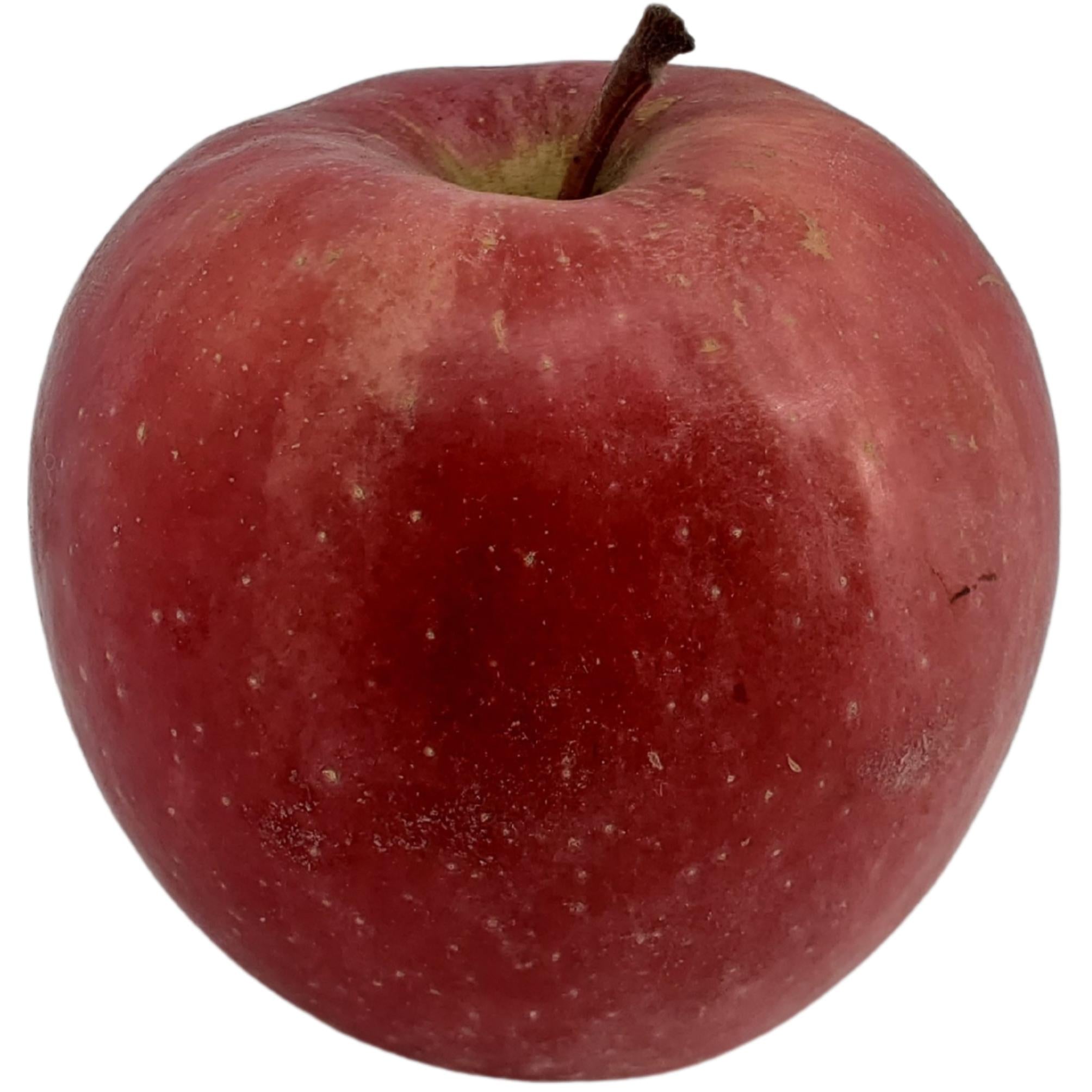 Buy Bulk Apples at Wholesale Prices | Delivery All Over Canada