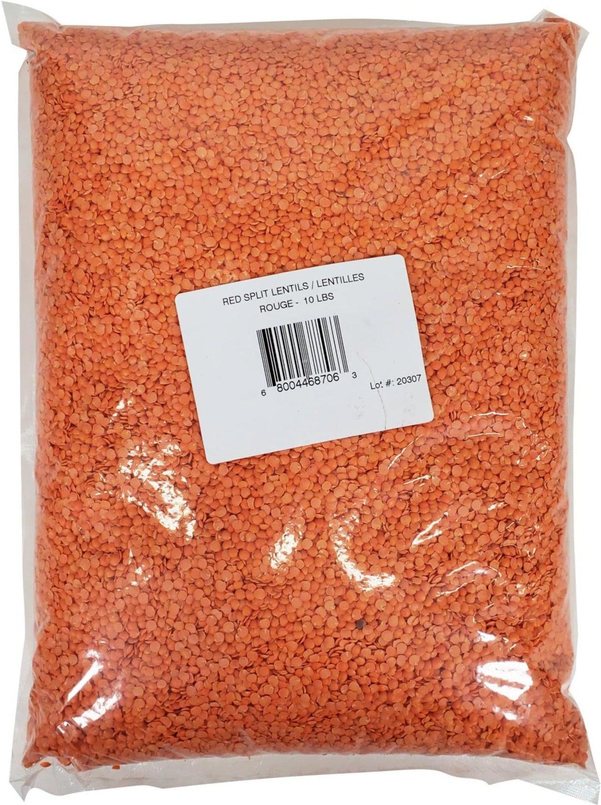 Lentils in Bulk